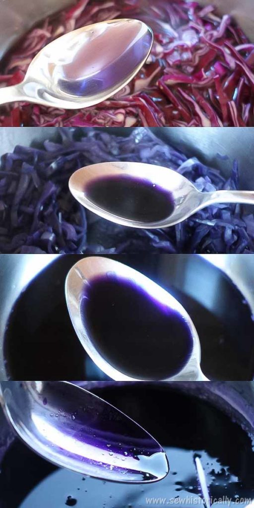 Homemade Natural Blue Food Coloring With Red Cabbage - Sew Historically